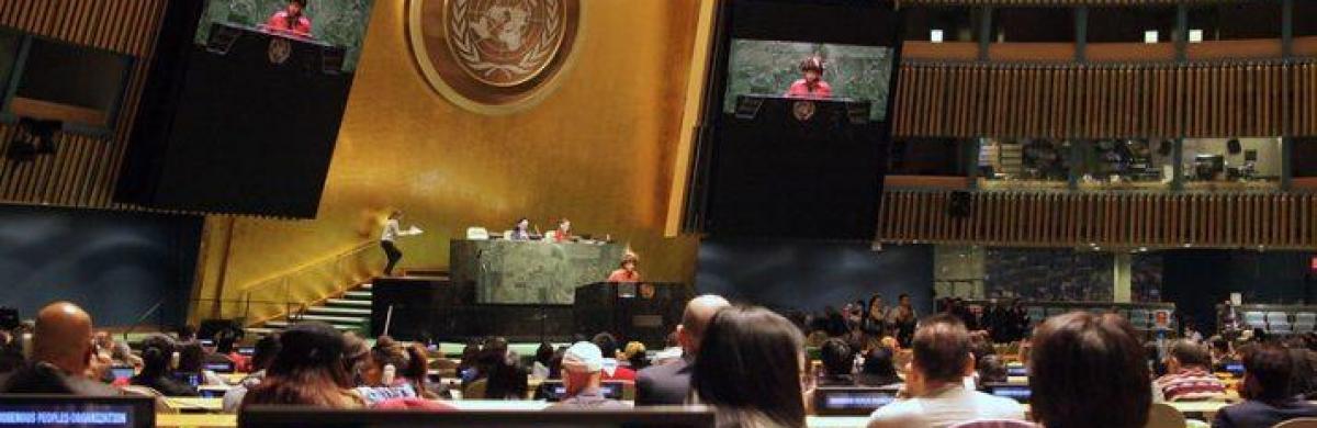 United Nations Permanent Forum on Indigenous Issues (UNPFII) - Twenty ...